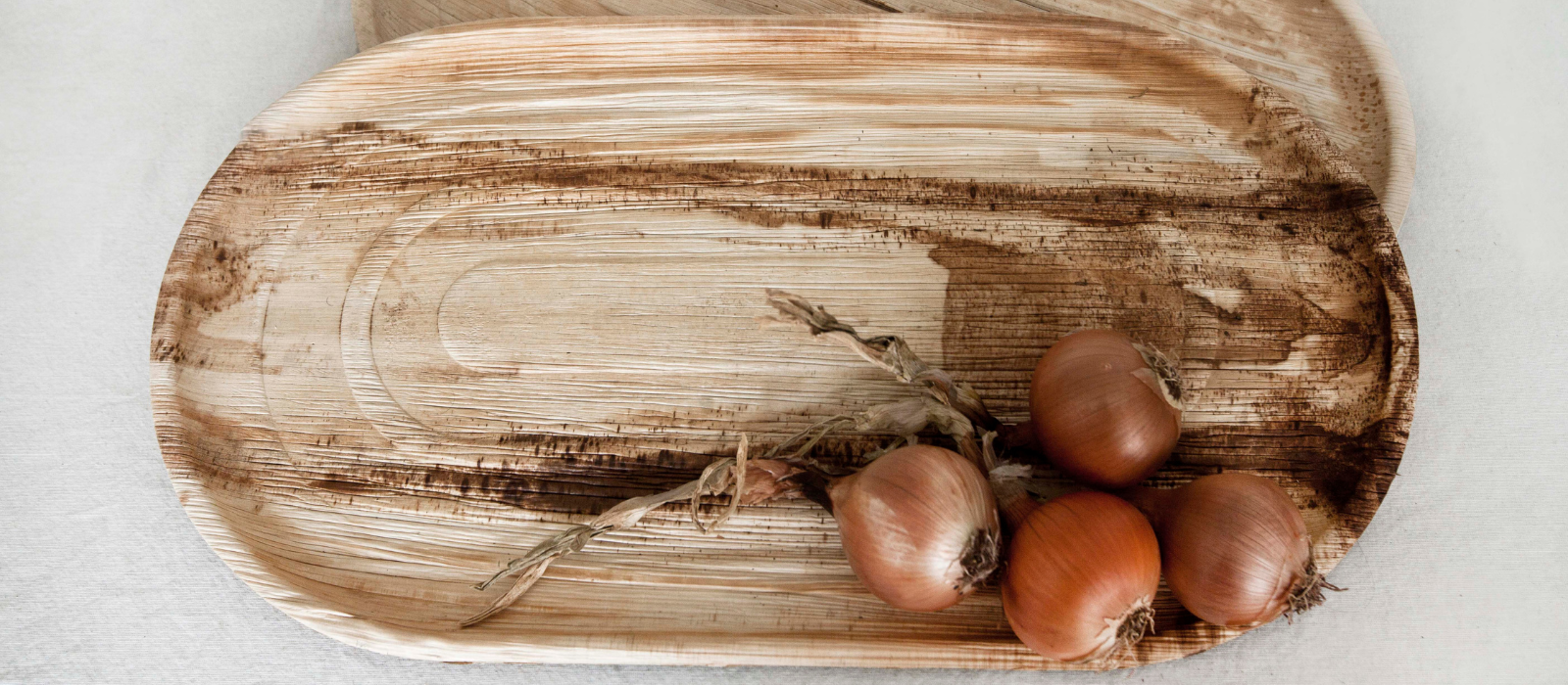 Ecosoulife - Productos Desechables Compostables